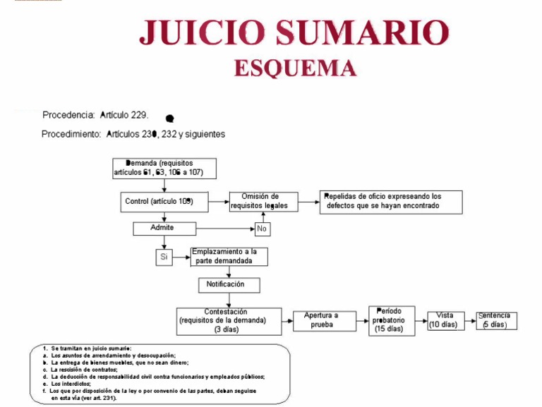 Esquema del Juicio Sumario en Guatemala | PDF | Gobierno | Justicia