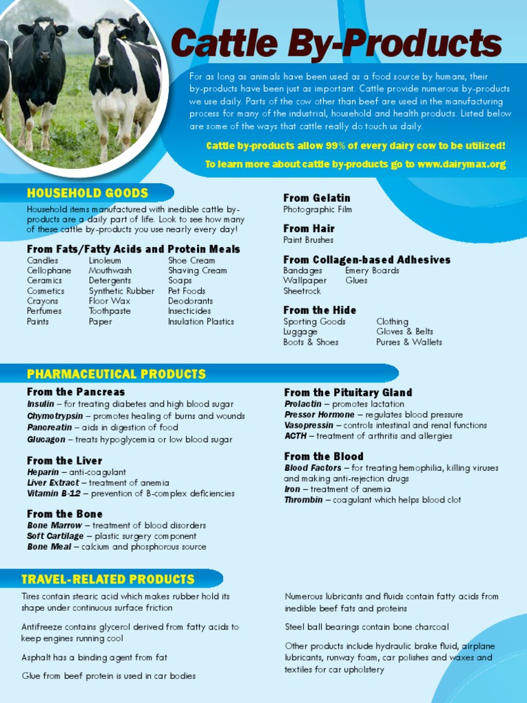 Lesson1Activity4Dairy by Products PDF | PDF | Cheese | Butter