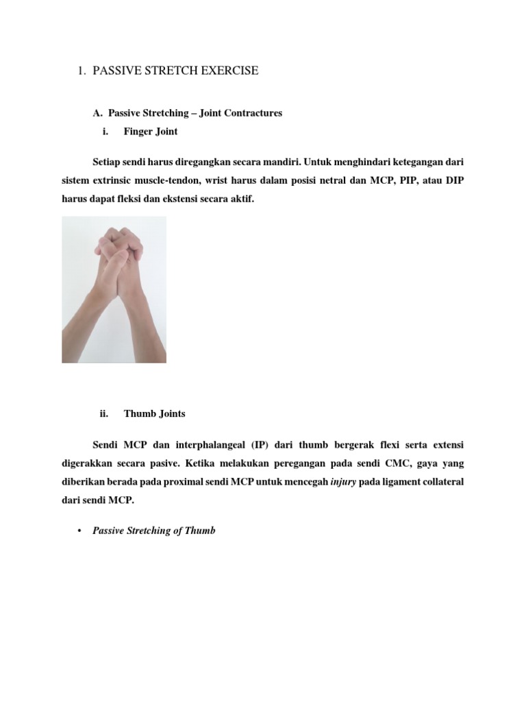 Passive Stretch Exercise | PDF