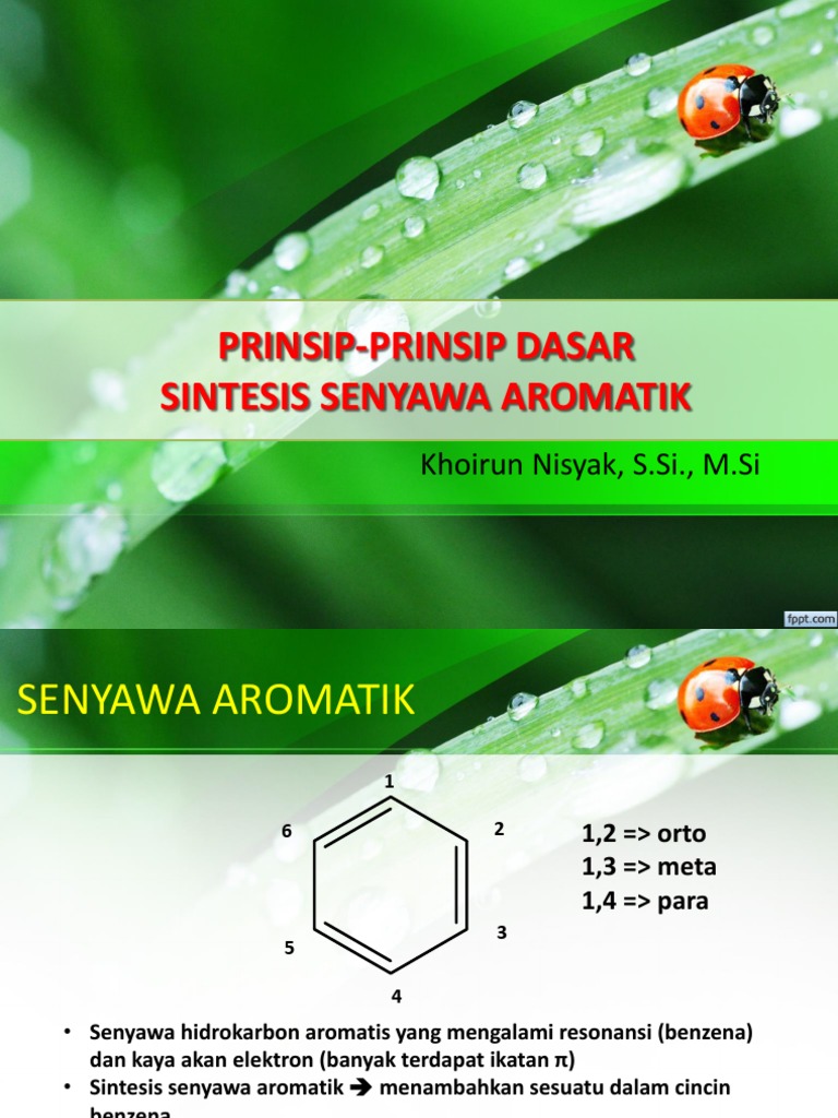 Prinsip Dasar Sintesis Senyawa Aromatis | PDF