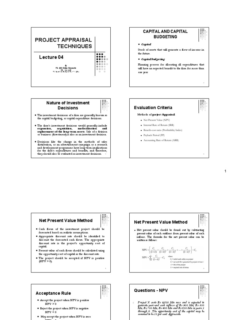 4 - Project Appraisal Techniques | PDF | Net Present Value | Internal ...