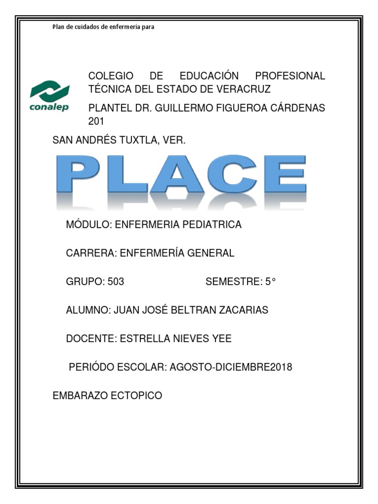 Place Embarazo | PDF | El embarazo | Vagina