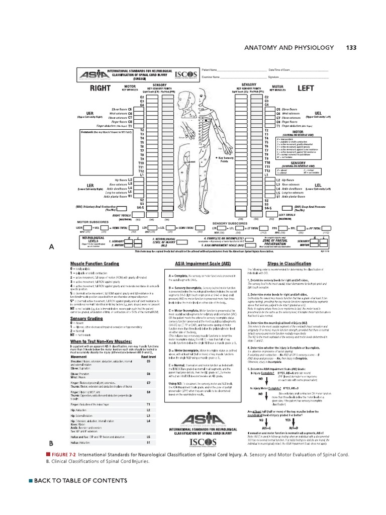 Isncsci CHART | PDF