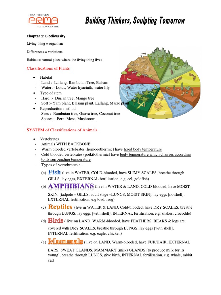 Intro to Biodiversity Basics | PDF | Mammals | Plants
