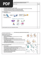 Tanner Staging 2 | PDF | Puberty | Adolescence