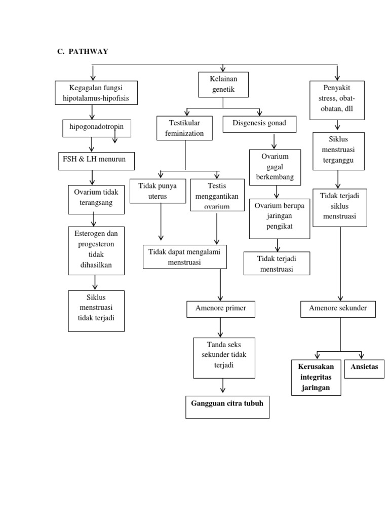 PATHWAY Amenore | PDF