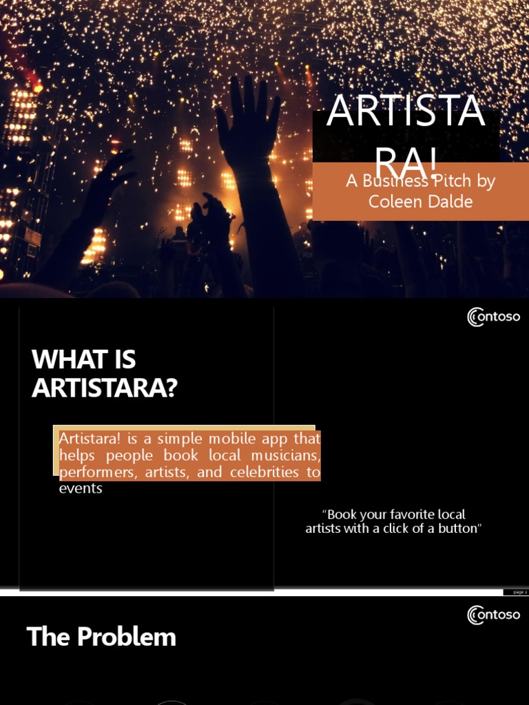 Business Pitch Sample Pdf Text Business Economics