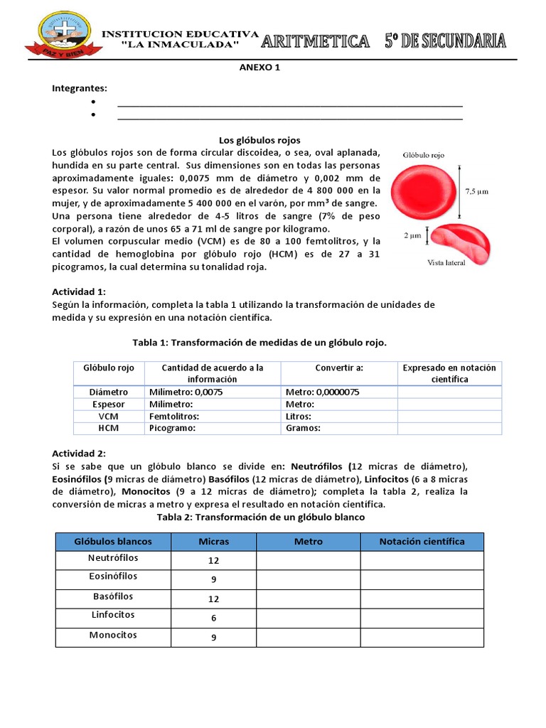 Ficha - Mat5-U1-Sesion 03 | PDF | Leucocito | Sangre