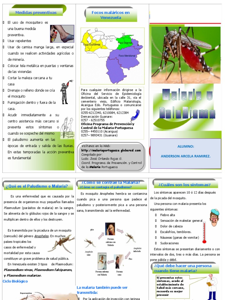 Triptico de Malaria Nov10 | PDF | Malaria | Plasmodium