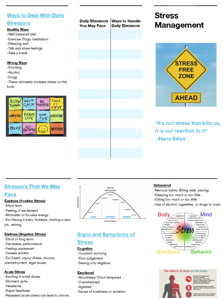 Stress Brochure | PDF | Stress (Biology) | Diseases And Disorders