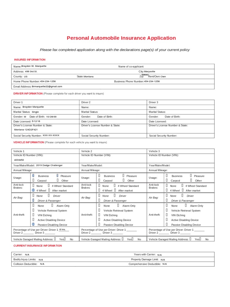 Auto Insurance-Application-Form-Template 178192 | PDF