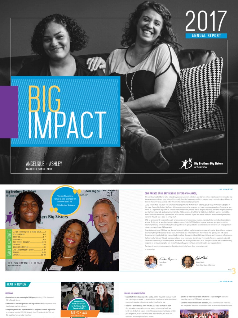 FY17 Annual Report | PDF | Mentorship | Revenue