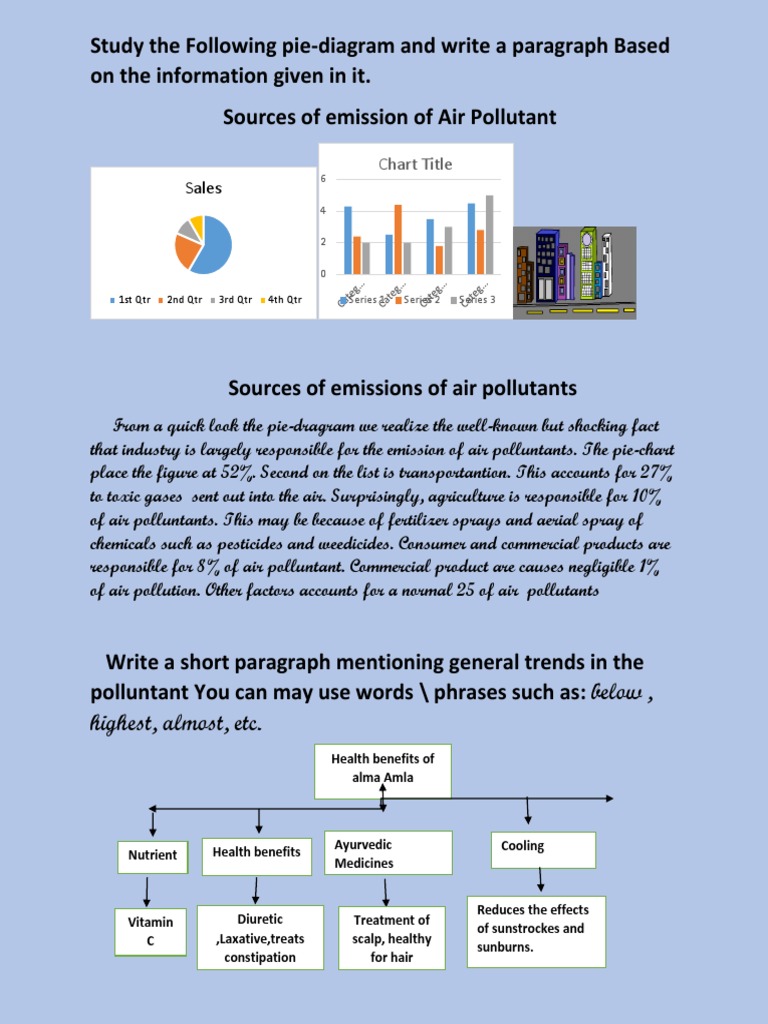 Air Pollution Sources Pie Chart Analysis | PDF | Air Pollution | Pollutant