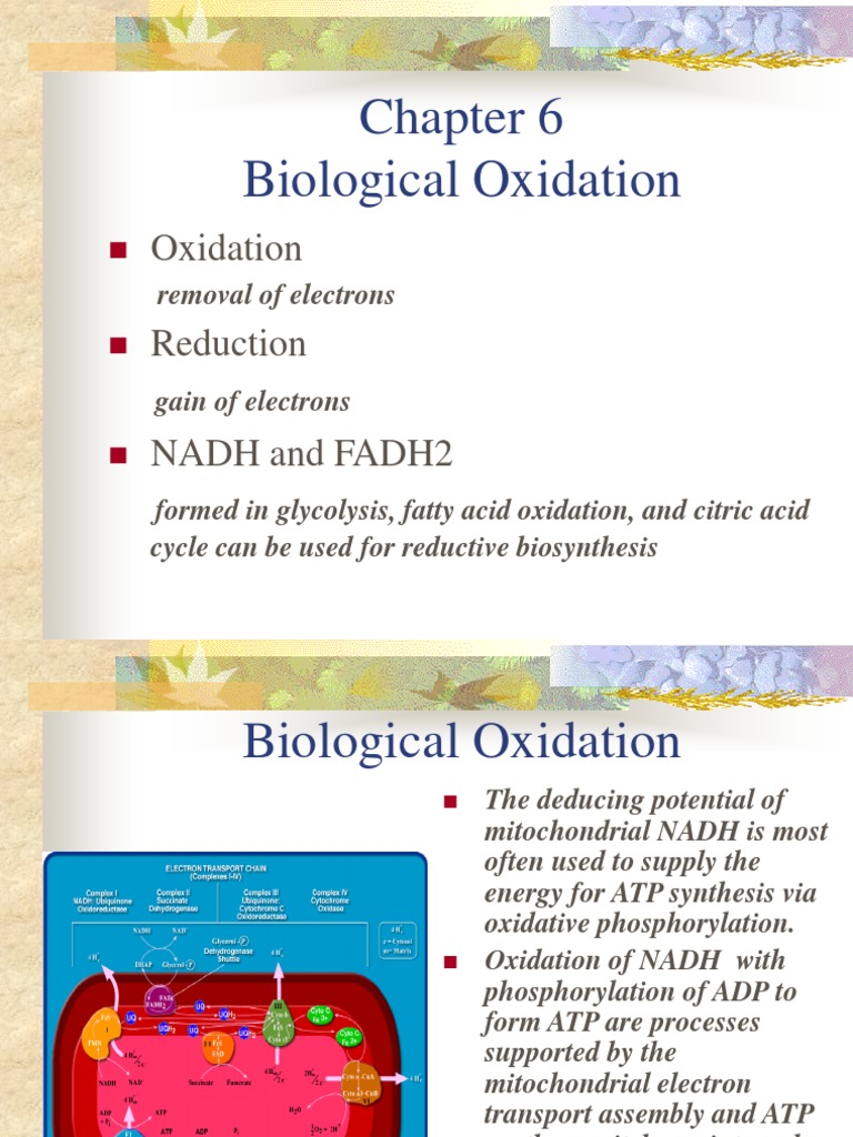 Biological Oxidation | Download Free PDF | Adenosine Triphosphate ...