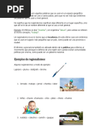 25 Ejemplos de Regionalismos Mexicanos | PDF