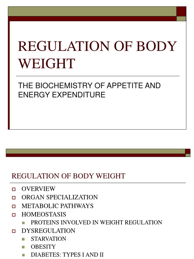 Regulation of Body Weight | PDF | Metabolism | Insulin