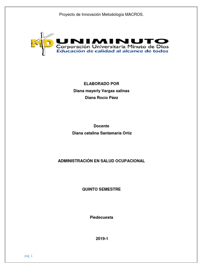 Actividad 5 Proyecto Macros Innovacion | PDF | Innovación | Producto (Negocio)