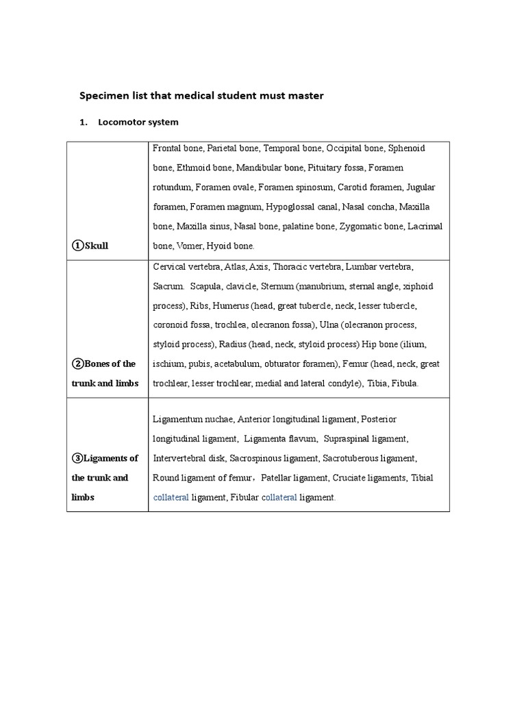 Specimen List For Medical Students-Ruan-2015-Final | PDF | Aorta | Vein