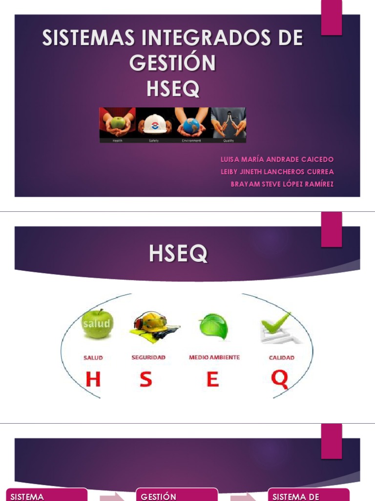 Hseq Sistemas Integrados De Gestión Pdf Pdf Planificación