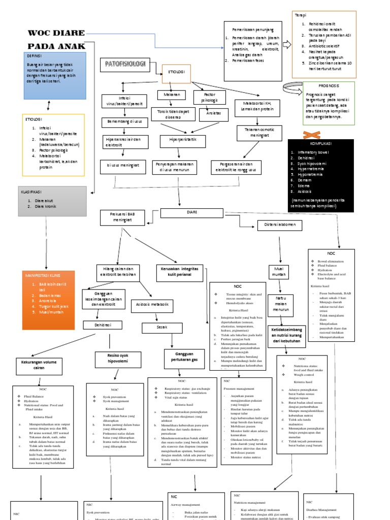 Terapi WOC DIARE PADA ANAK | PDF