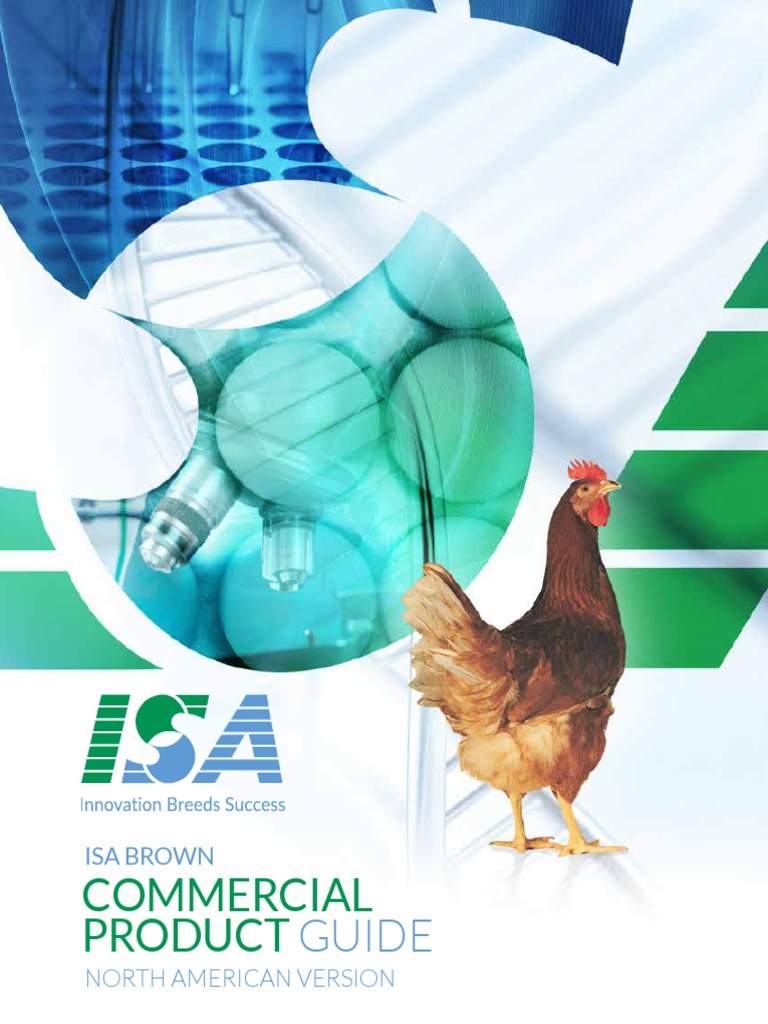 ISA Brown Cs Product Guide North America L8110-2-NA PDF | PDF | Chicken ...