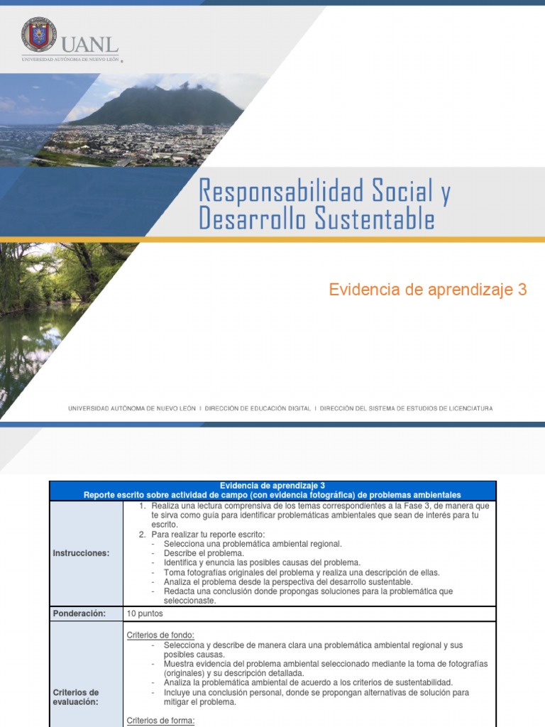 Evidencia 3 - RSyDS | PDF | Cognición | Aprendizaje