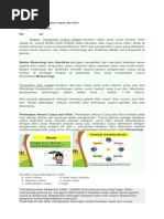 Berikut Adalah Beberapa Jenis Cuaca Beserta Gambarnya | PDF