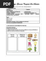 Actividades del Cuerpo Humano 1° Grado | PDF | Hueso | Articulación