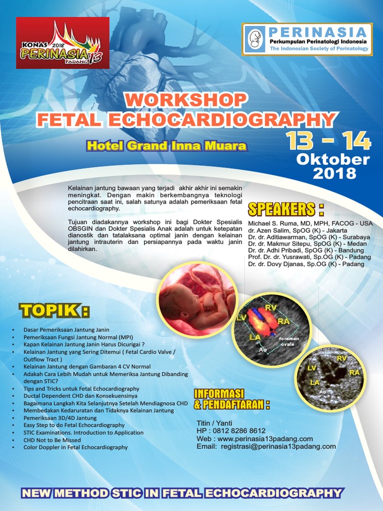 Workshop Fetal Echo | PDF