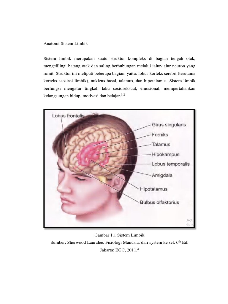 Anatomi Sistem Limbik | PDF