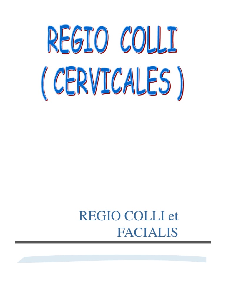 Regio Colli | Download Free PDF | Common Carotid Artery | Soft Tissue