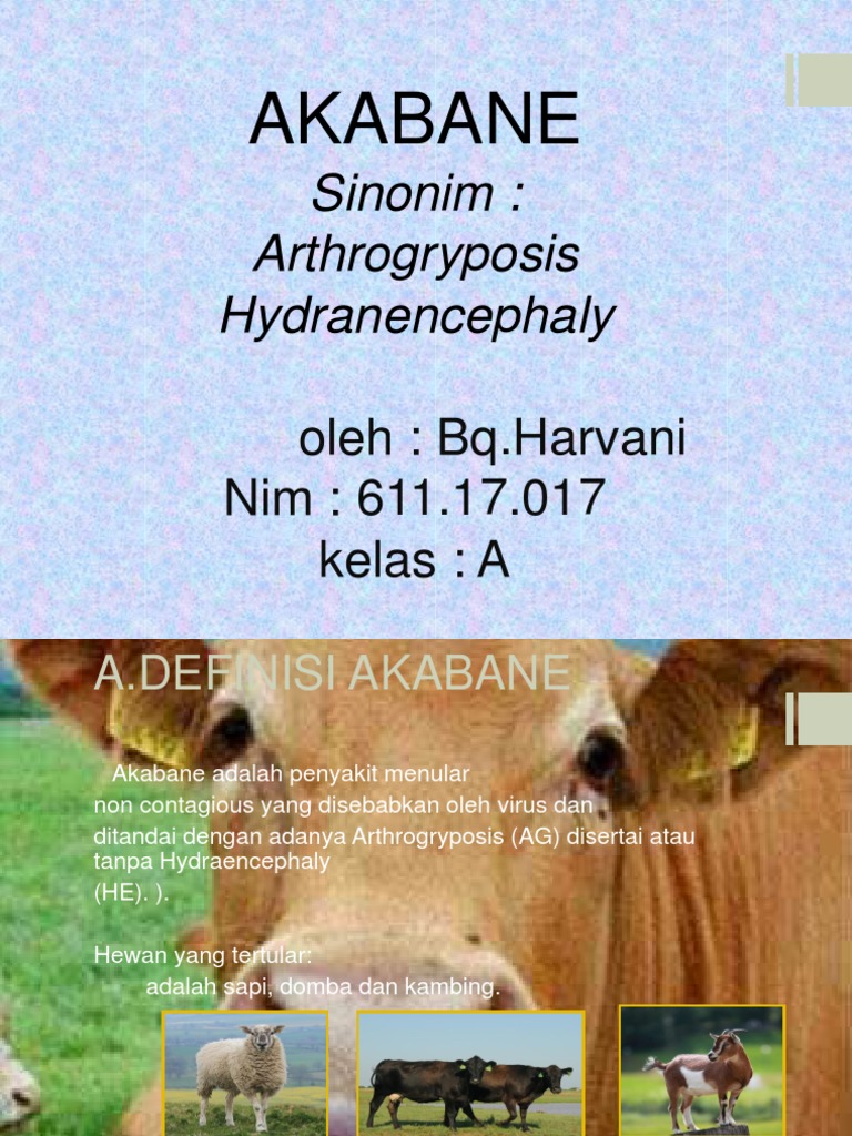 AKABANE | PDF