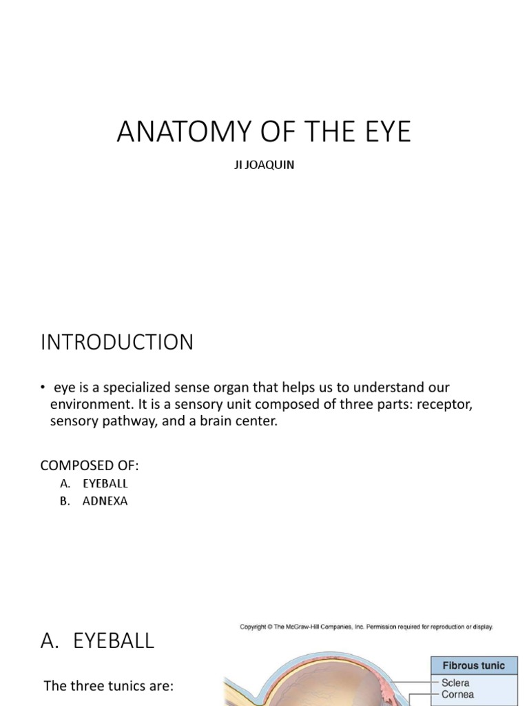 Anatomy of The Eye | PDF