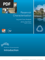 Petrophysics Workflow Guide | PDF | Geotechnical Engineering | Earth ...