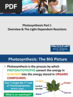 Photosynthesis Hhmi Biointeractive | PDF | Photosynthesis | Physiology