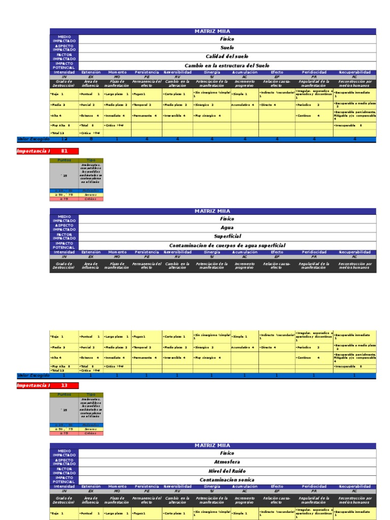 Matriz MIIA Ejercicio | PDF | Contaminación | Entorno natural