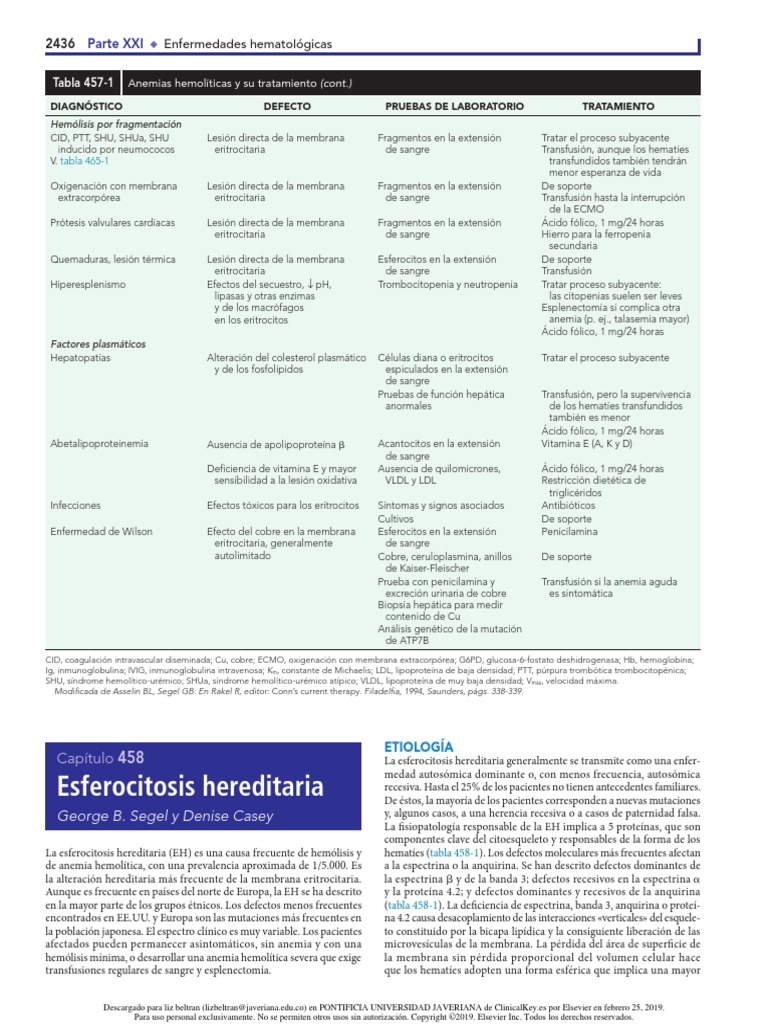 ESFEROCITOSIS | PDF | Glóbulo rojo | Anemia