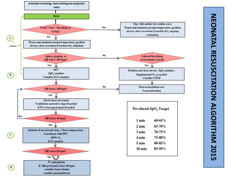 Alur Resusitasi Neonatus 2015 | PDF | Cardiopulmonary Resuscitation ...