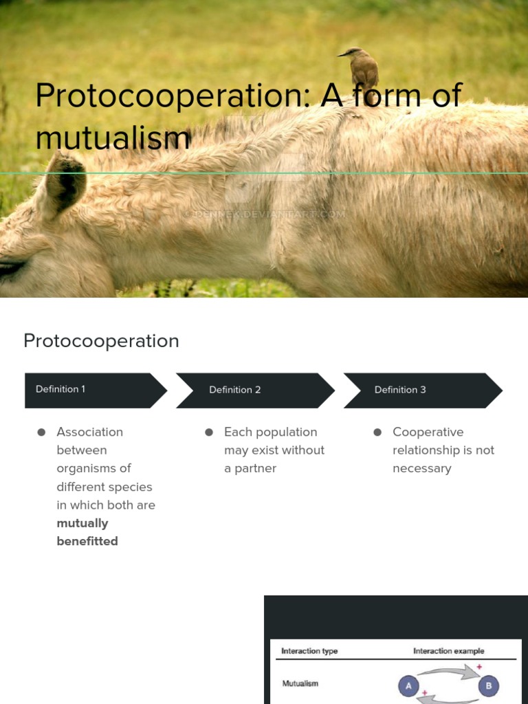 Protocooperation: A Form of Mutualism | PDF