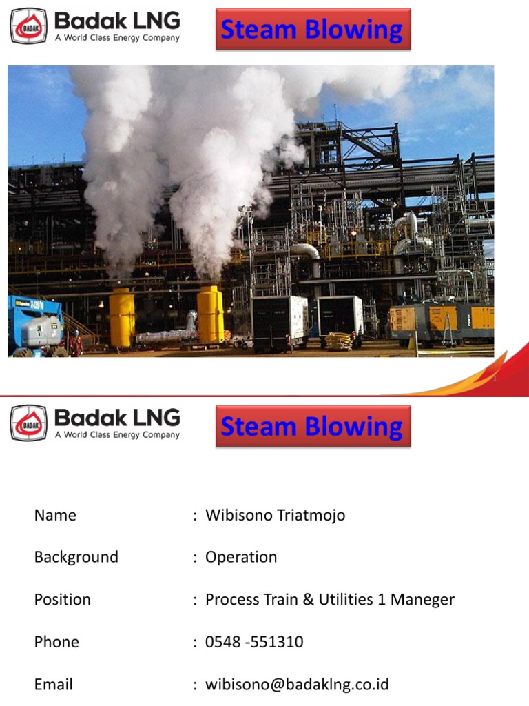 Steam Blowing Process Guide | PDF | Steam | Boiler