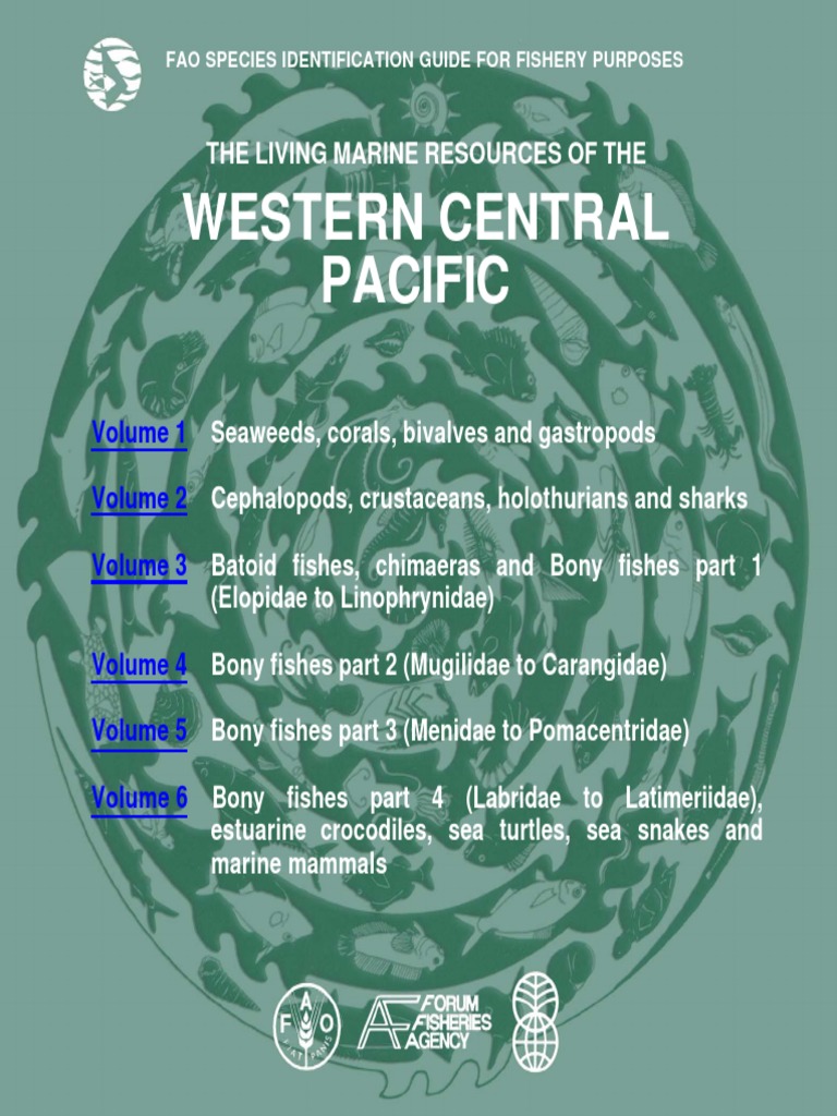 Western Central Pacific: Fao Species Identification Guide For Fishery ...