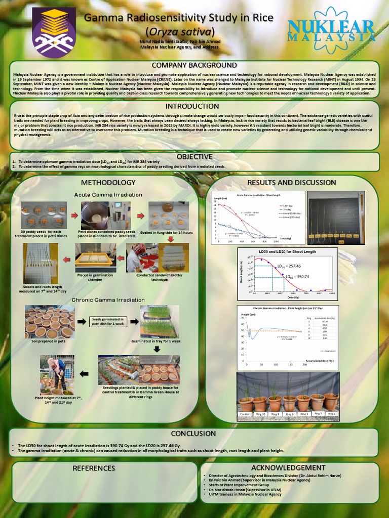 A Study On Rice Poster | PDF | Plant Breeding | Rice