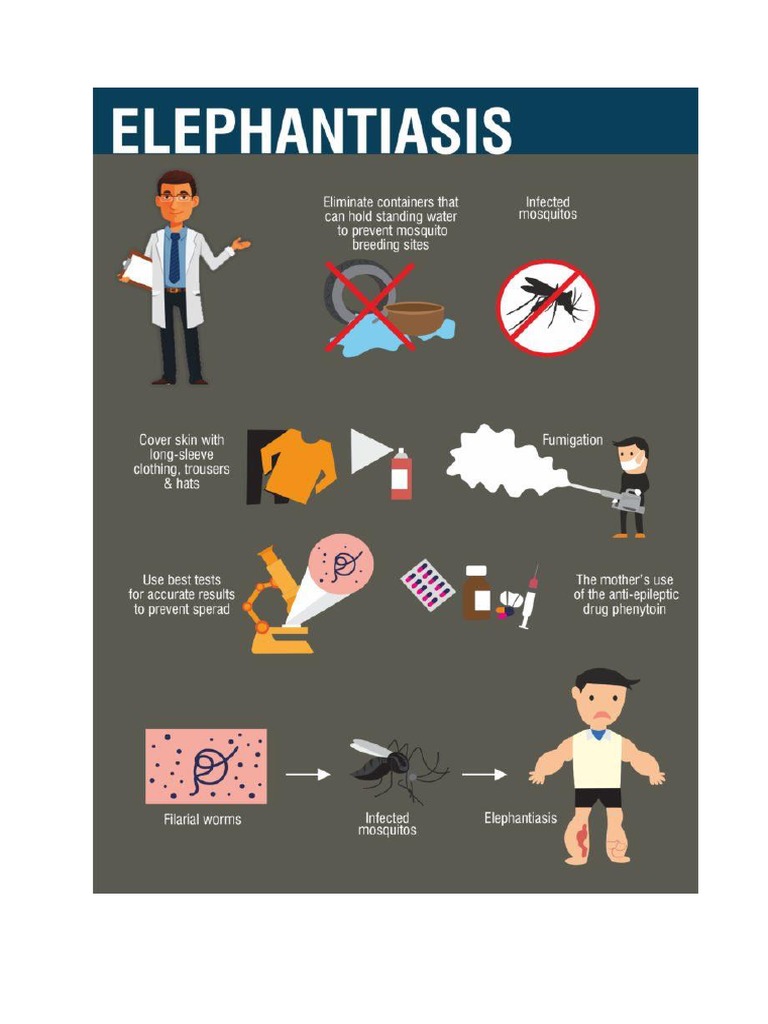 Poster Filariasis | PDF