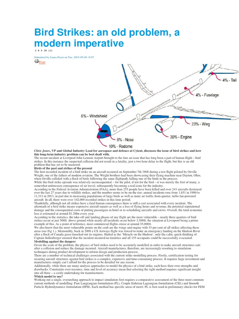 Bird Strikes: An Old Problem, A Modern Imperative: Print | PDF | Wright ...