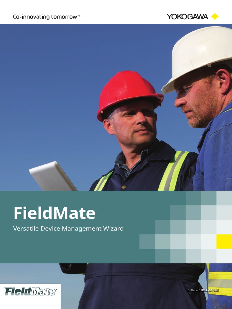 Fieldmate: Versatile Device Management Wizard | PDF | Microsoft Windows ...