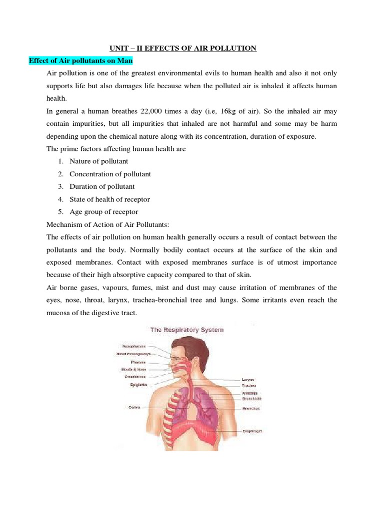 Air Pollution and Its Control | PDF | Chlorofluorocarbon | Ozone Depletion