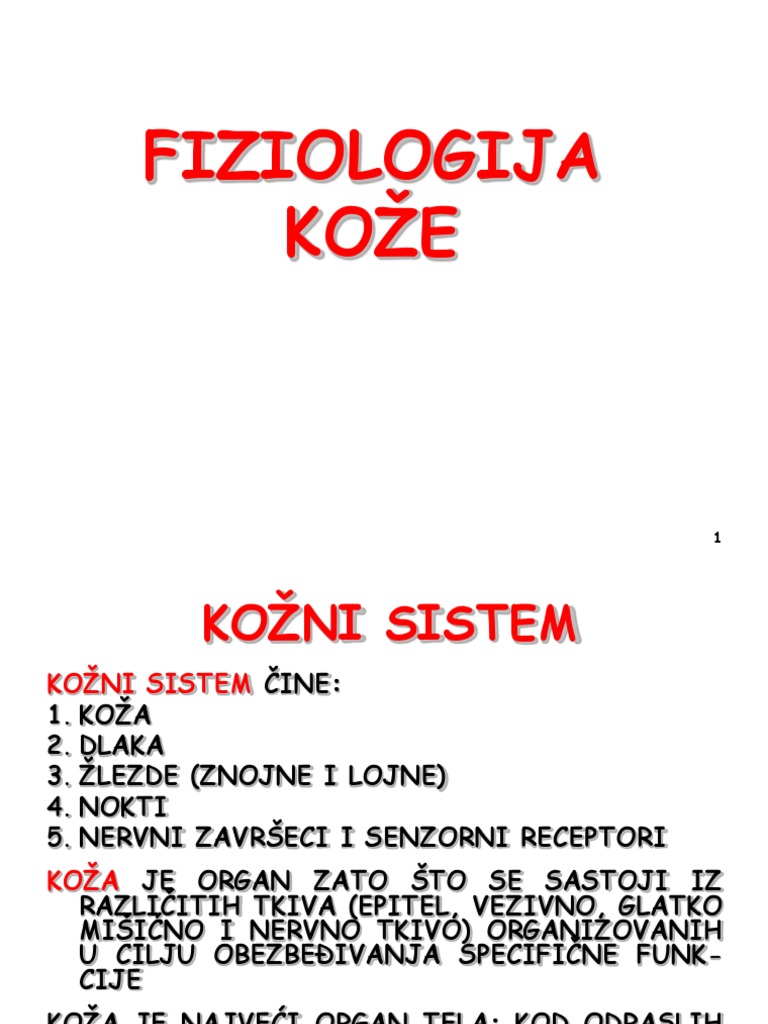 Anatomija I Fiziologija Kože | PDF