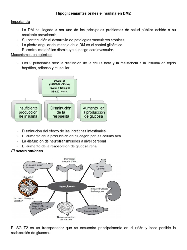 Hipoglicemiantes Orales e Insulina en DM2 | PDF | Bioquímica | Química