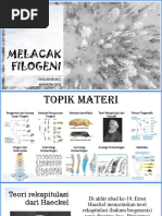 Klasifikasi, Komponen Dan Karakteristik Filogeni | PDF | Ilmu Sosial ...
