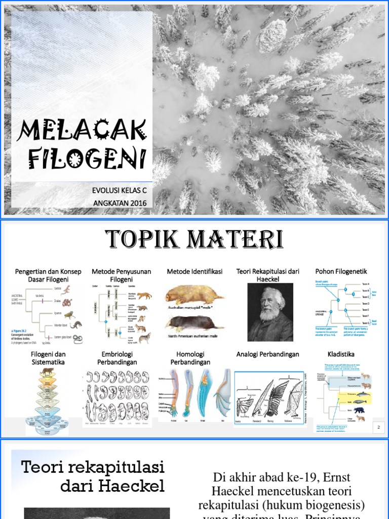 Melacak Filogeni | PDF | Sains & Matematika